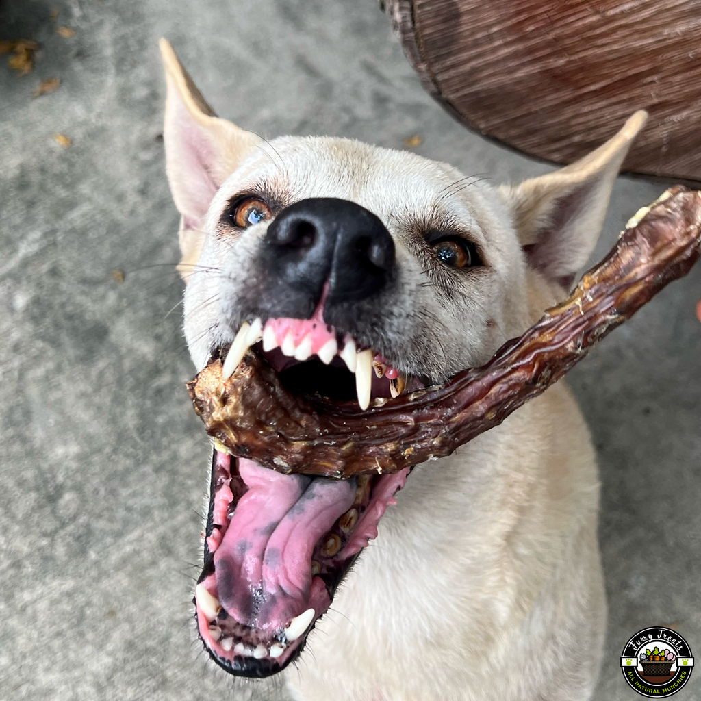 Furry Treats Duck Neck | Shopee Malaysia