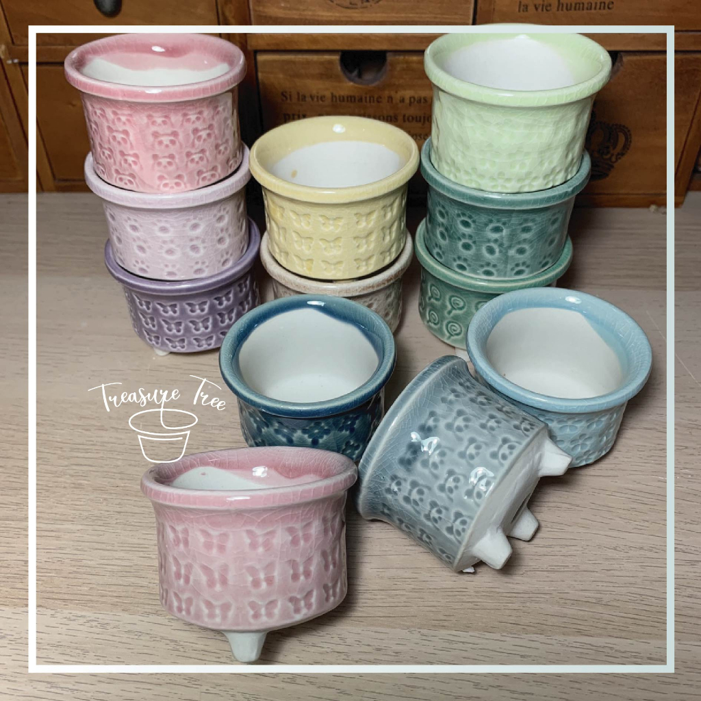 [Treasure Tree] Succulent Cute Mini Flower Pots With 6 Random Patterns ...