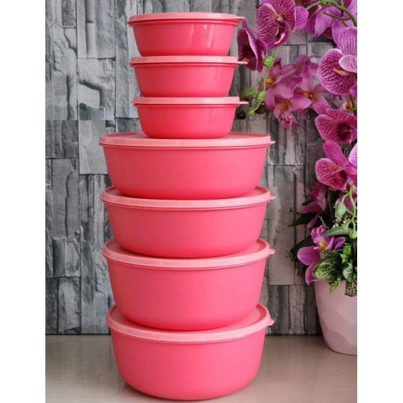 🔥READY STOCK🔥Tupperware Modular Bowl | Shopee Malaysia