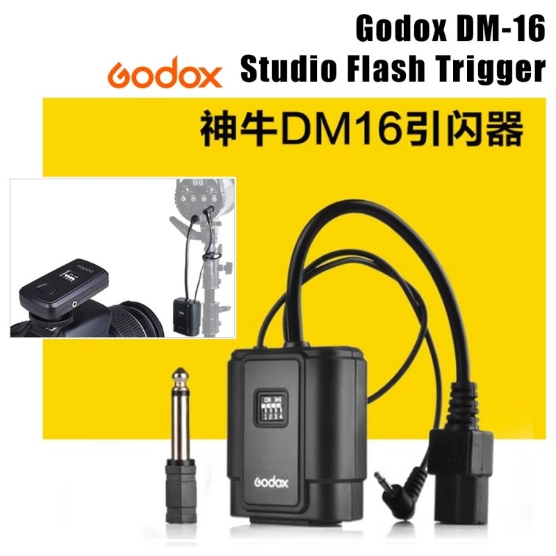 Godox DM16 DM-16 Studio Flash Trigger Receiver For Camera Canon and Nikon | Shopee Malaysia
