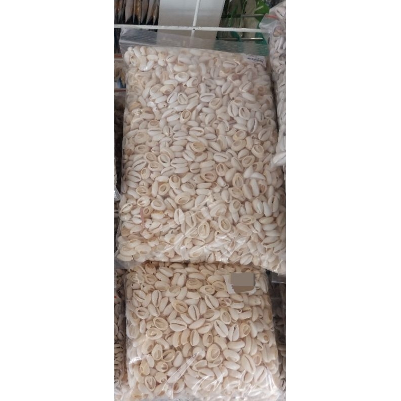 200 pcs /170pcs /100 pcs】 kuyung/burie/seashell (PUTIH) Size M | Shopee ...