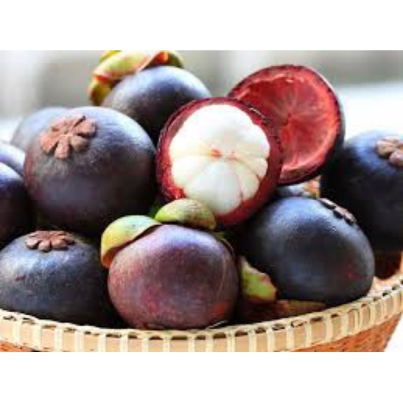 MANGGIS MANIS DAN SEGAR 3KG | Shopee Malaysia