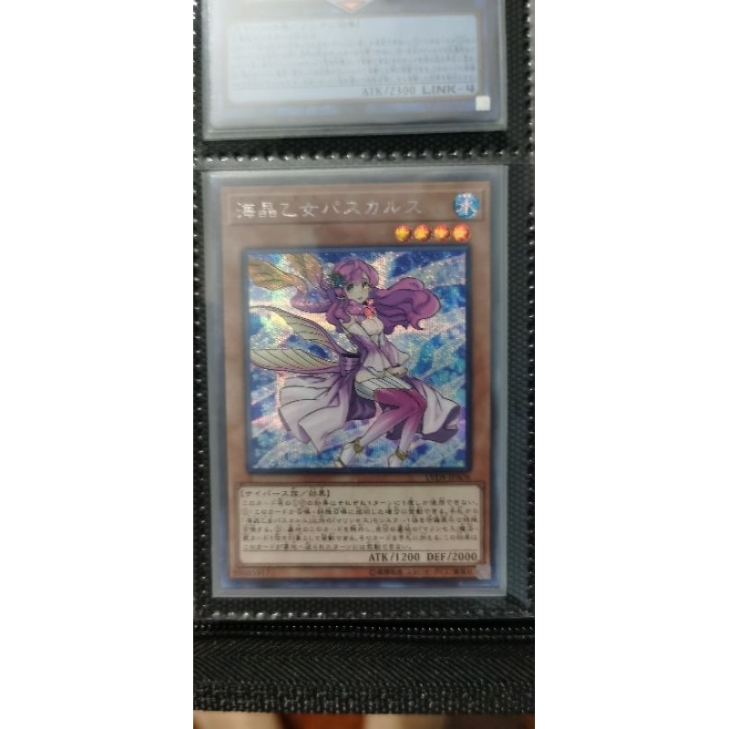 LVDS-JPA06 Marine Otome Pascal (Secret Rare) | Shopee Malaysia
