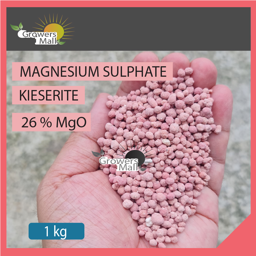 BAJA MAGNESIUM-SULPHUR / KIESERITE 27% MGO (GRANULAR) (1KG) | Shopee Malaysia