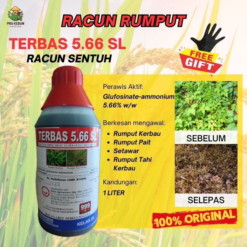 Terbas 5.66SL Racun Rumpai Racun Rumput Glufosinate-ammonium Racun ...