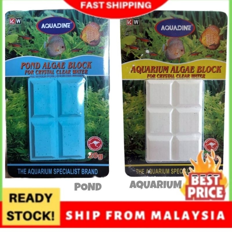 (SL) 20g Aquadine Pond Aquarium Algae Block For Crystal Clear Water ...