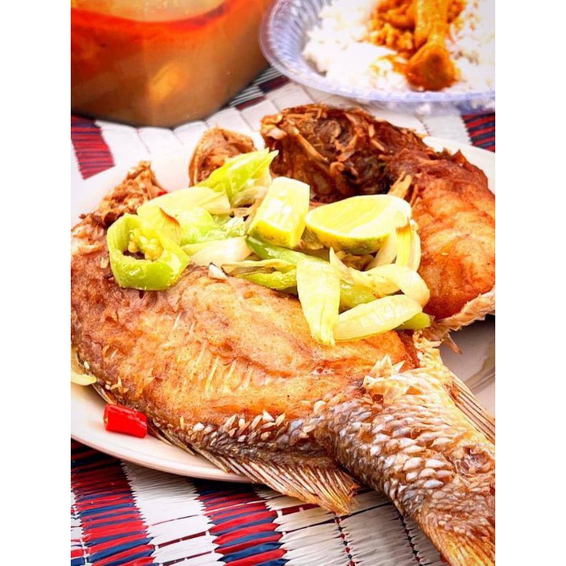 Ocean Fresh | Ikan Gelama Bekok| Resipi asli | Vaccum Pack | Shopee ...