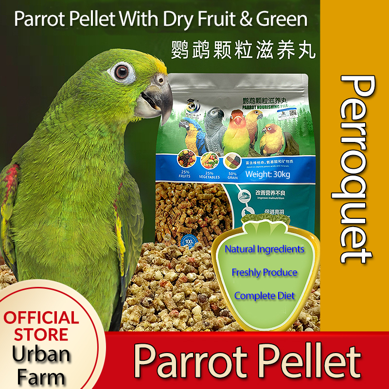 Perroquet All Parrot Bird Pellet Soft Food Green Fruit Honey Bee Pollen ...