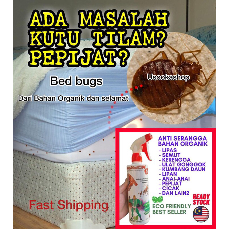 Spray pijat tilam berkesan bed bugs Saiz besar ubat pepijat spray ...