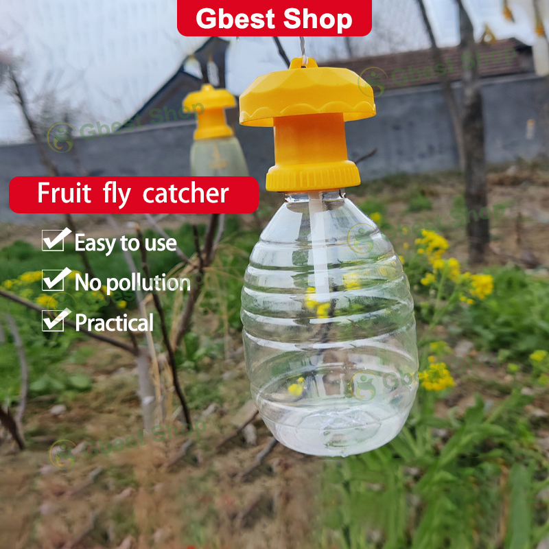 Fruit fly trap killer Attractant Val fly bait flying bee Drosophila ...