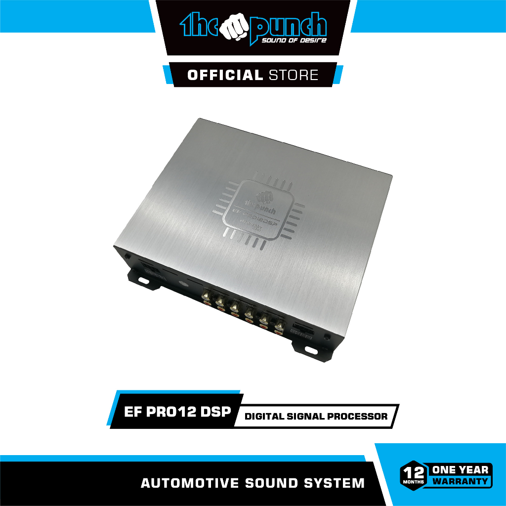 THE PUNCH EFFICIENCY Series Digital Signal Processor EF PRO12 DSP ...