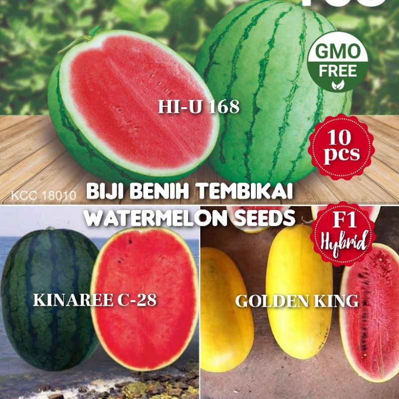10 Biji Benih Tembikai GOLDEN KING / KINAREE / HI-U watermelon seeds ...