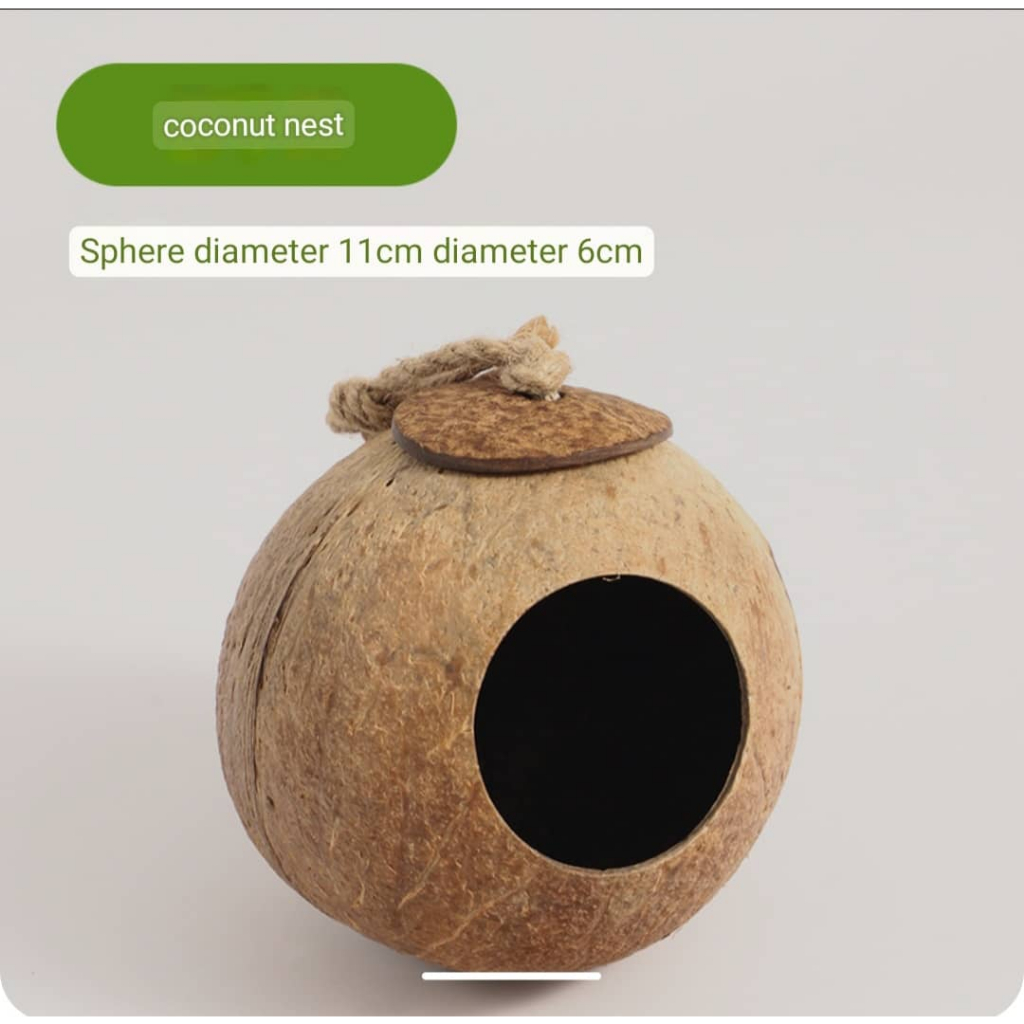 Natural Coconut Shell House Hamster Bird Shell Nest Sugar Glider House ...