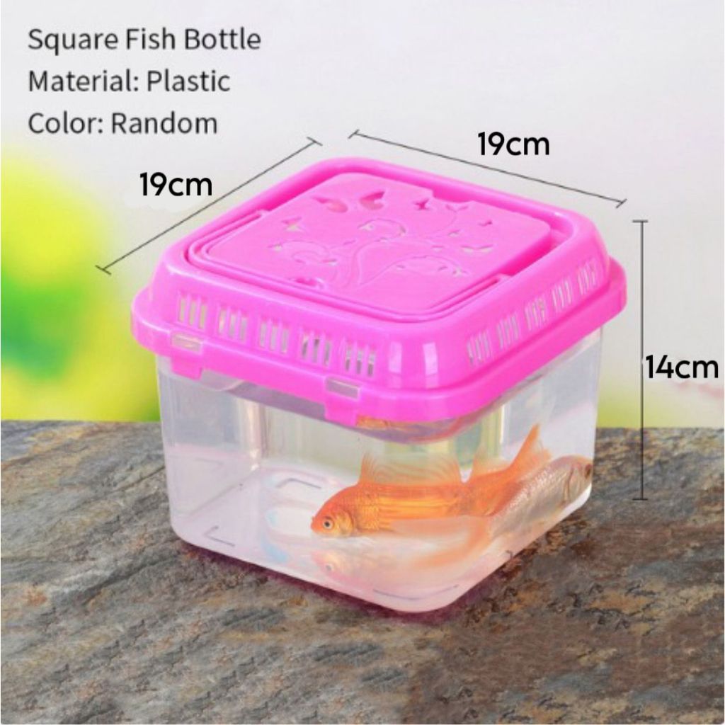 Portable Plastic Fish Tank Aquarium Betta Guppy Turtle Bekas Ikan ...