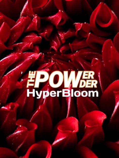 T.A. HyperBloom NPK 2-42-20 (Late Flowering Dry Nutrient, Ripening ...