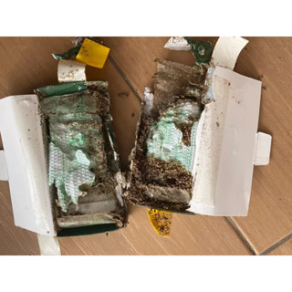 Termite Original Termites DIY ( green bait ) Termite Baiting system ...