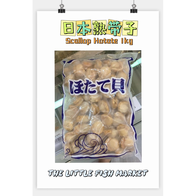 PENANG ONLY - Japan Boiled Scallop Hotate 日本熟带子 1kg | Shopee Malaysia