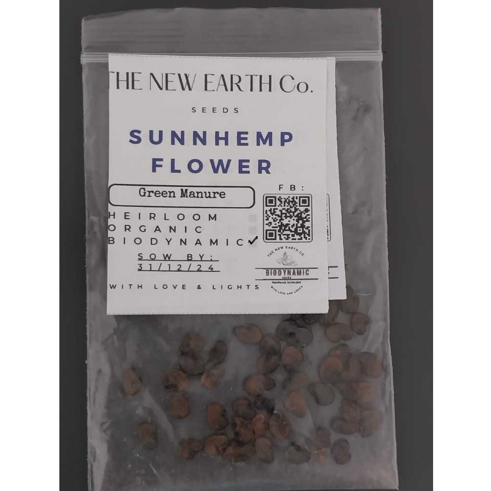 Sunn Hemp Sunnhemp flower seeds Green Manure Yellow flowers Biodynamic ...