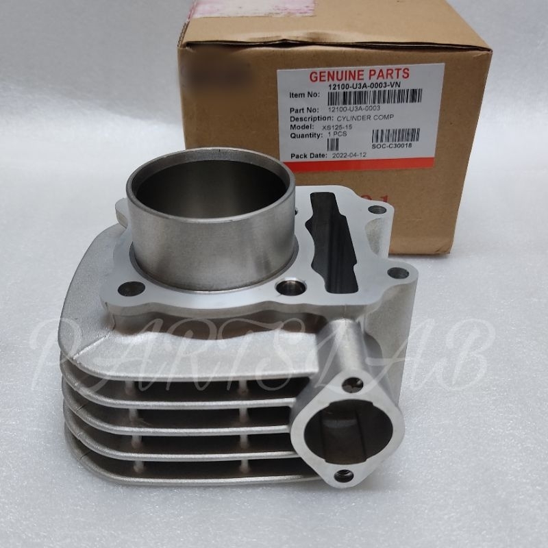 SYM SPORT RIDER 125I CYLINDER BLOCK CYLINDER COMP 12100-U3A-0003-VN ...