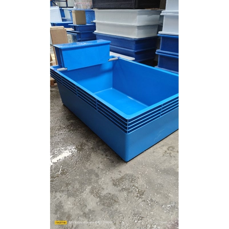 Guppy Blue Plastic Tank with Filter Box (Standard Set) | Shopee Malaysia