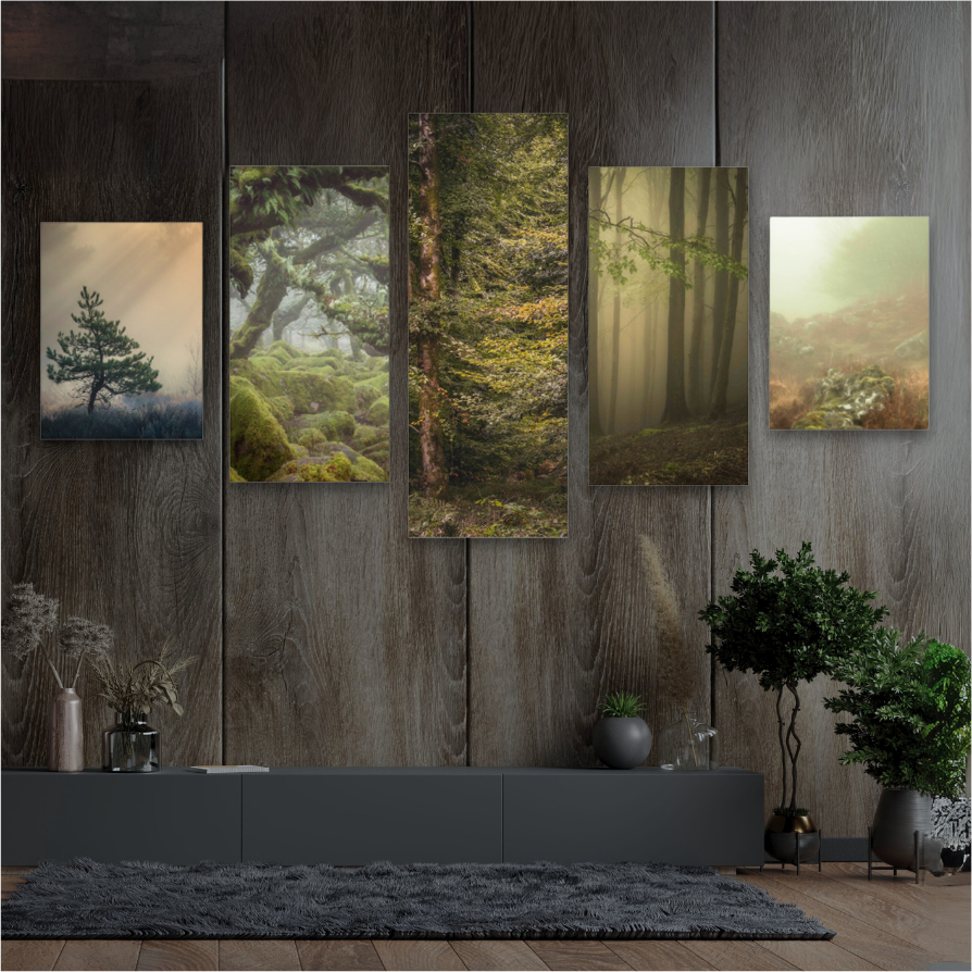 Scenery Wall Decoration Forest Tree Painting with Canvas Frame 5pcs ...