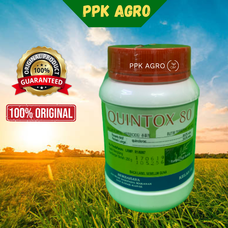 250G QUINTOX 80 Farmcochem / Herbicide / RACUN RUMPAI/RACUN PADI BURUNG ...