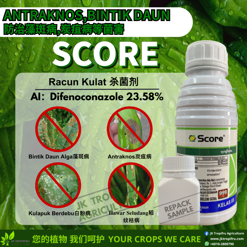 【Bintik Daun Alga/Hawar Daun/Karat Putih】Score (Repack ) Fungicide ...