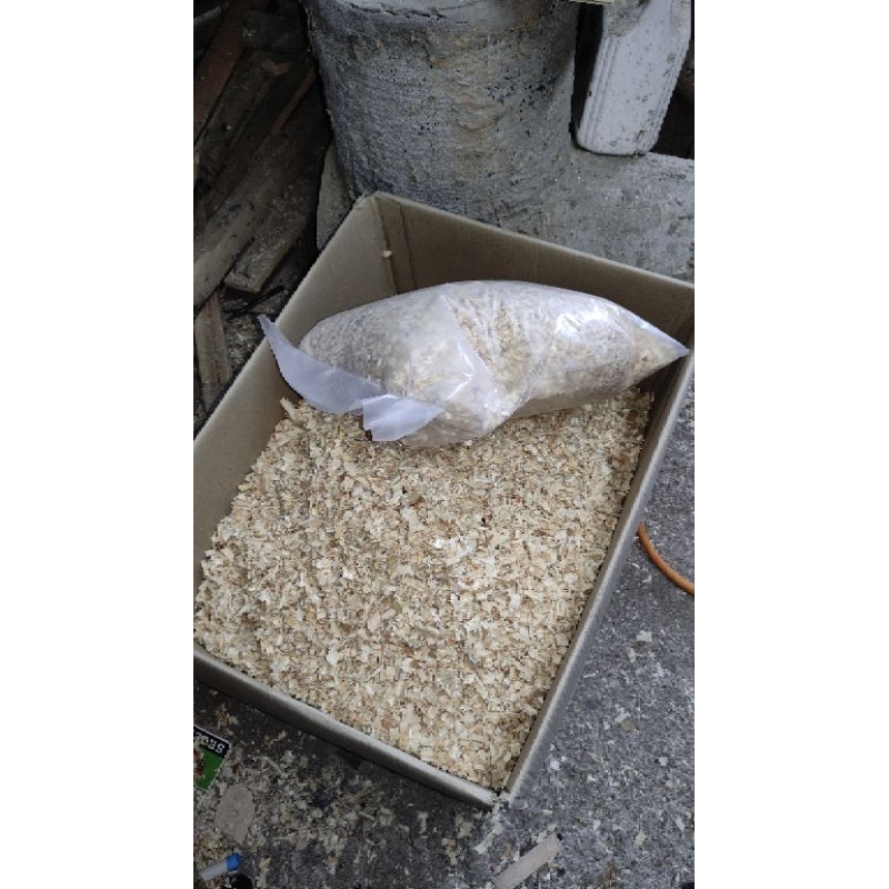 HABUK KAYU Pine KASAR(1KG) | Shopee Malaysia