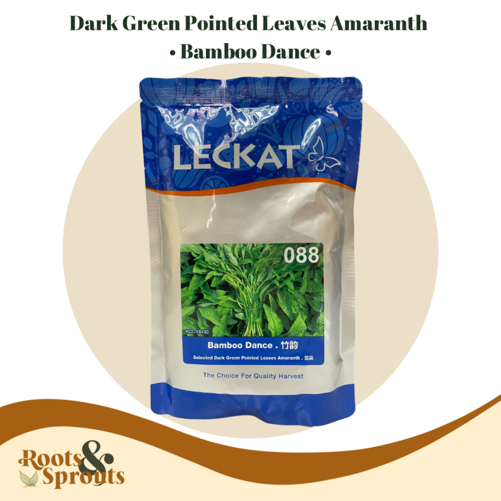 LECKAT Selected Dark Green Pointed Leaves Amaranth Seeds - LECKAT 088 ...