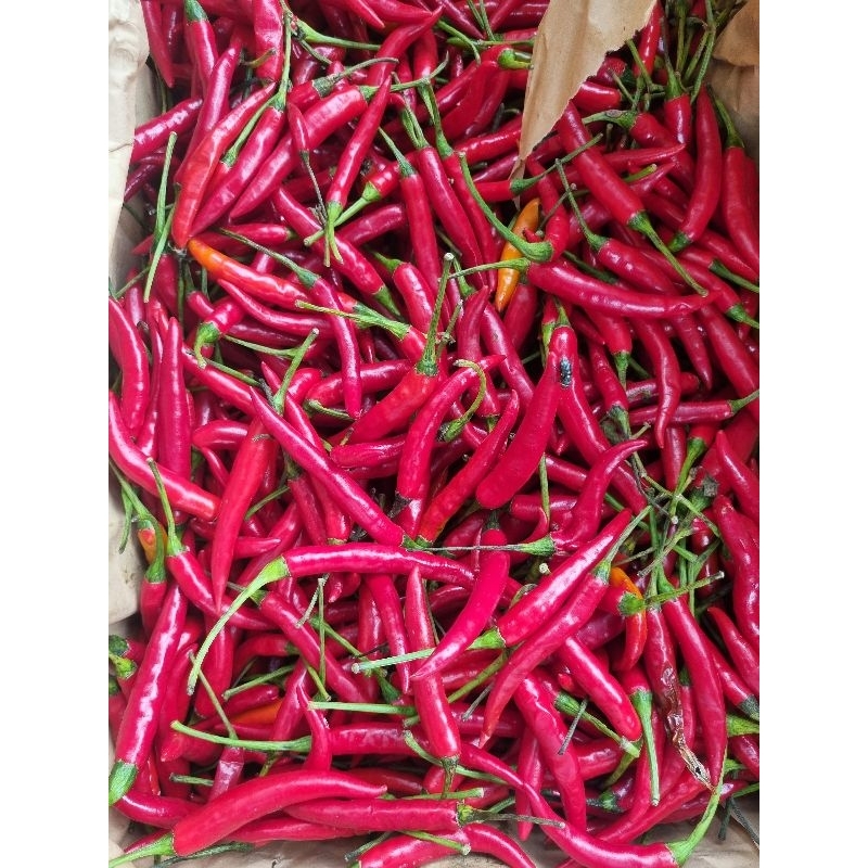 Cili Merah / Red Chilli Segar dari Ladang | Shopee Malaysia