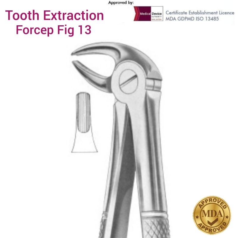 Dental Tooth Extraction Forceps Fig 13 lower premolars Adult Stainless ...
