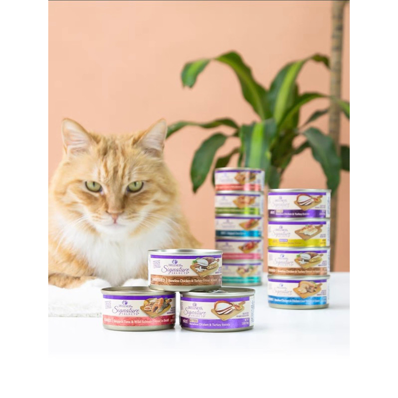 Wellness Grain Free Signature Selects 150g/75g | Shopee Malaysia