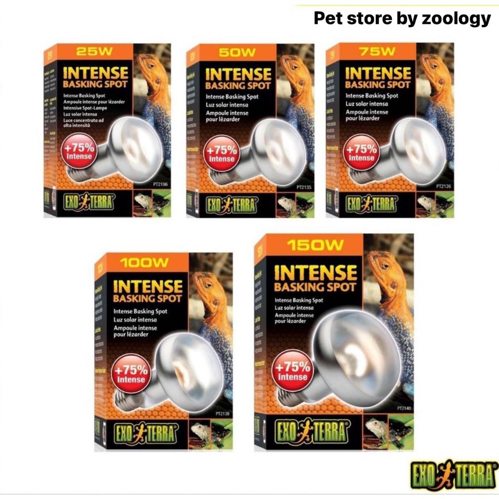 Exo terra intense basking spot UVA heat bulb 25W 50W 75W bearded dragon ...