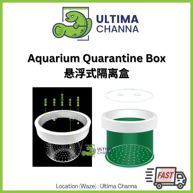 High Quality Aquarium Floating Breeding Box/ Quarantine Compartment for ...