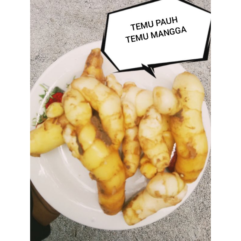 TEMU PAUH/RIZOM /TEMU MANGGA/NEW STOK 200g | Shopee Malaysia
