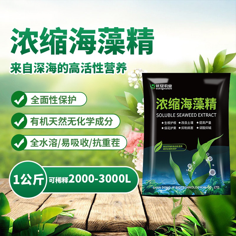 Seaweed Fertiliser Soluble Seaweed Extract Organic Fertiliser Rumpai Laut Organik Baja顶级纯正浓缩海藻精 ...