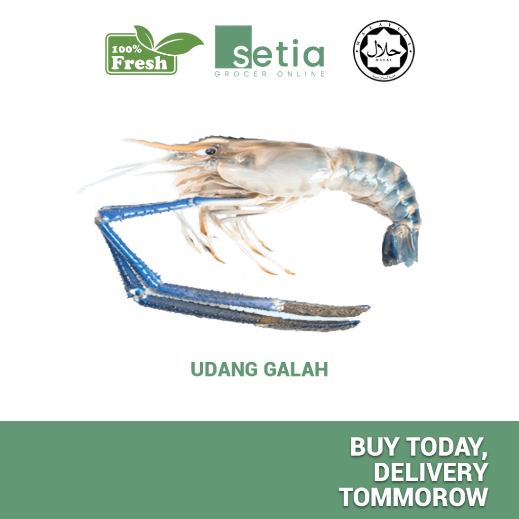 Udang Galah Frozen 500g Shopee Malaysia