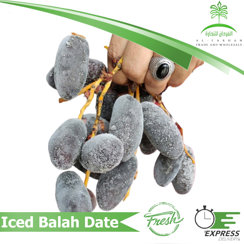 5KG KURMA SEJUK/KURMA BEKU SEGAR/ICED DATES/BALAH DATES/WHOLESALE ...