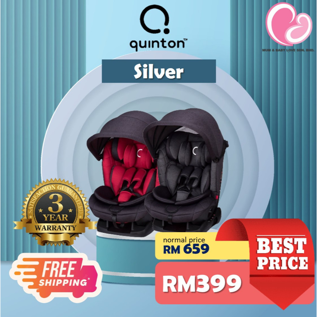 Quinton Silver Car Seat Baby Convertible (Newborn - 12 years old) with ...
