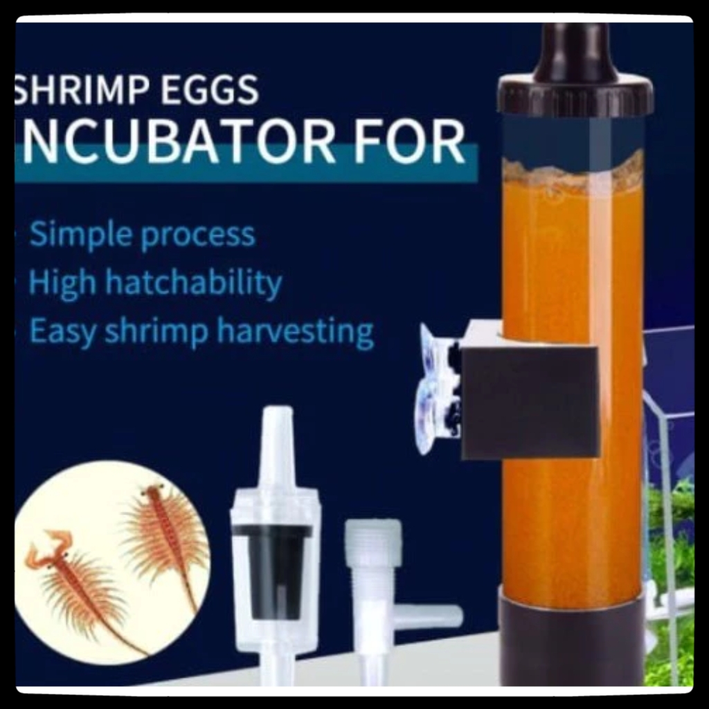 Fish Tank Brine Shrimp Hatcher Aquarium Artemia Eggs Incubator Tool ...