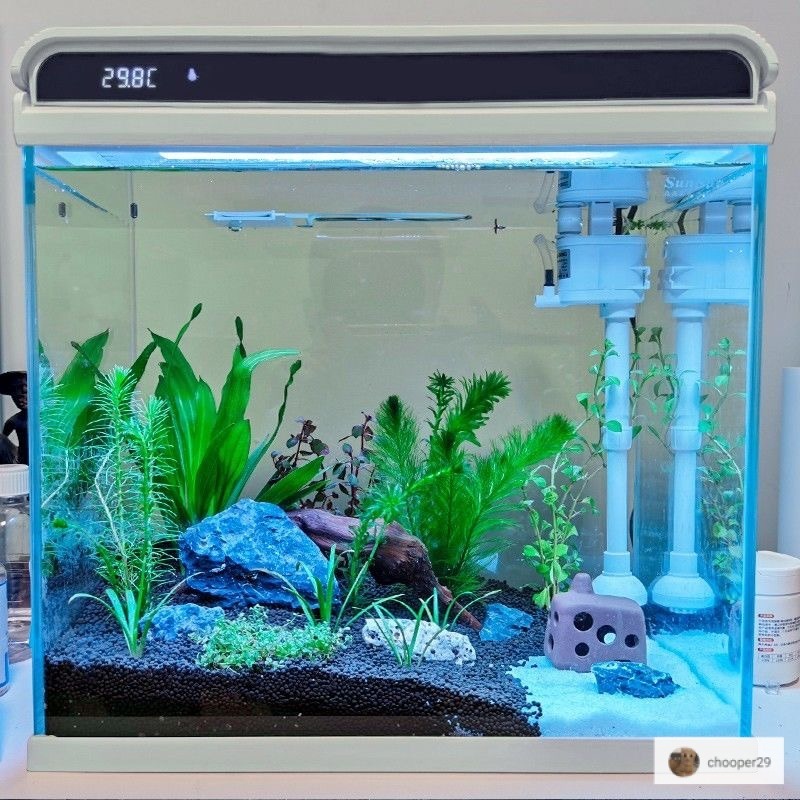 🐠 LED Colour Changing FISH TANK House Aquarium Set Deco Bowls White ...