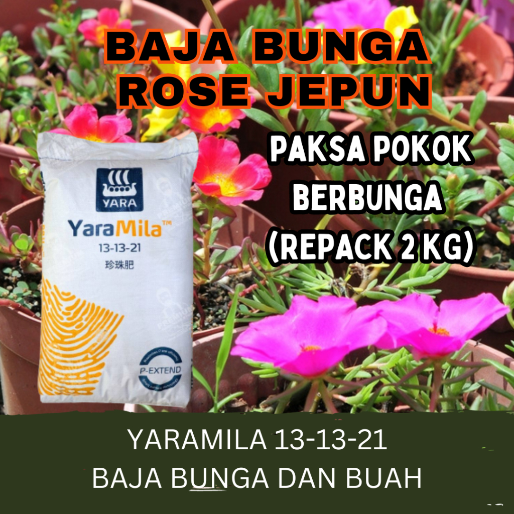 BAJA YARAMILA NPK 13-13-21 / BAJA POKOK BUNGA ROSE JEPUN / BAJA ...