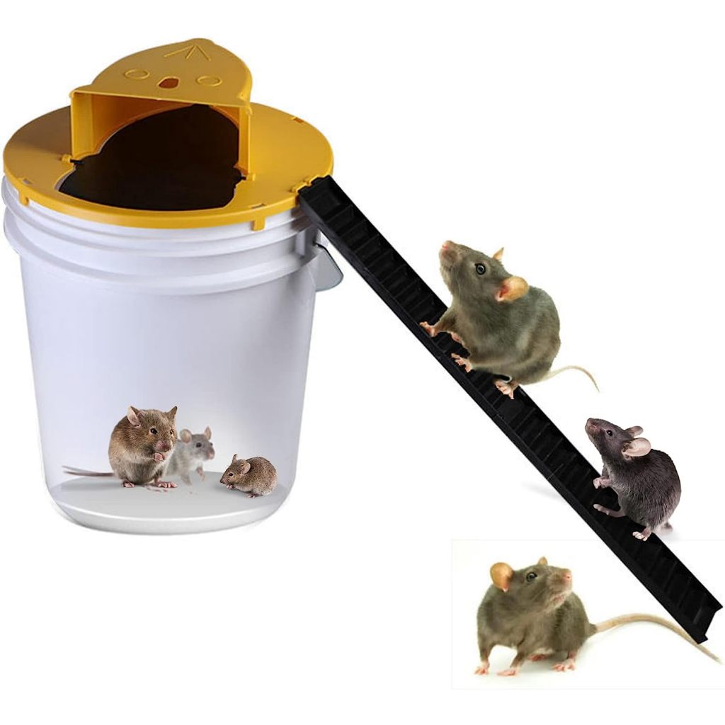 Perangkap Tikus - Daki n Jatuh /Flip n Slide Bucket Lid Mouse Trap ...