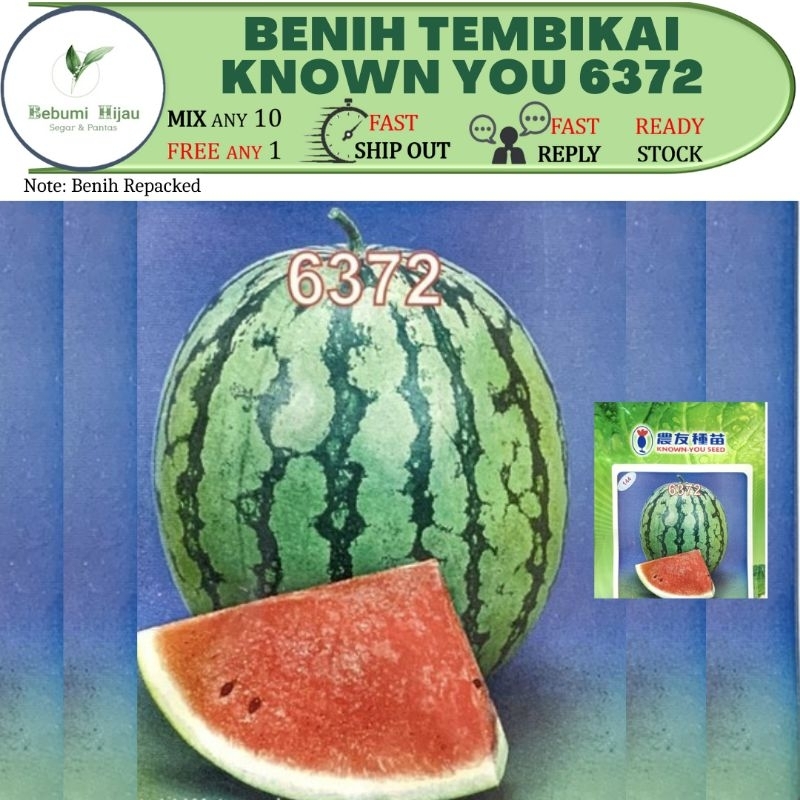 PELBAGAI Biji benih TEMBIKAI WATERMELON seeds manis juicy besar ...
