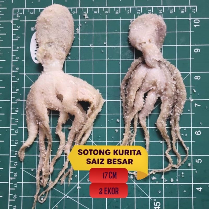UMPAN SOTONG KURITA.SALTED OCTOPUS BAIT | Shopee Malaysia