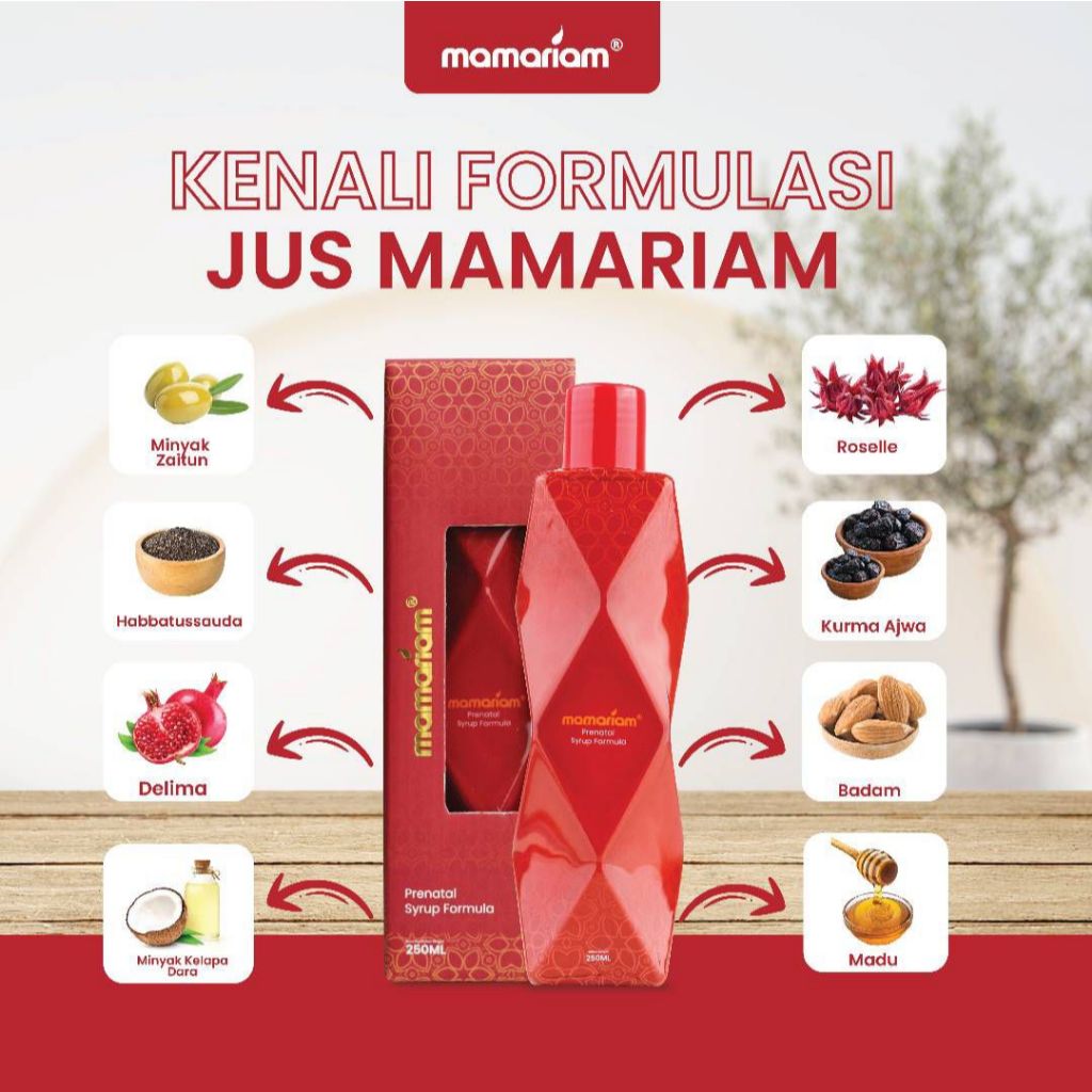 COMBO IBU HAMIL I 4 BOTOL JUS MAMARIAM + 1 PREGNA OATMILK COKLAT I ...