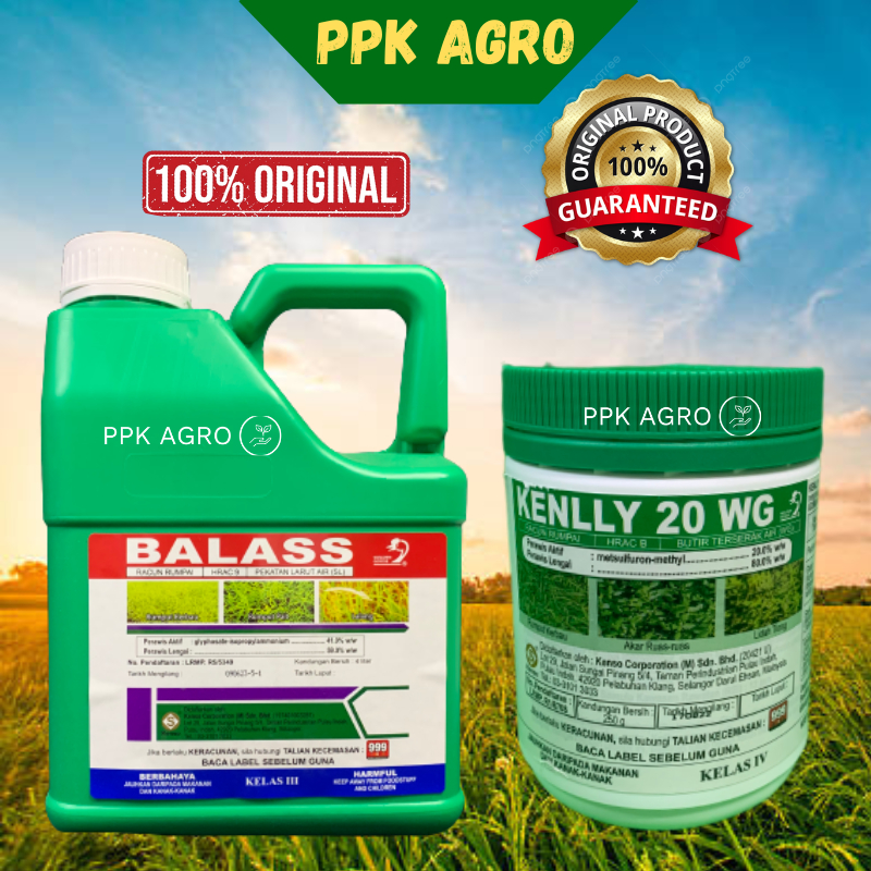 4L BALASS + 250G KENLLY 20WG (1 SET PACKAGE) RACUN RUMPUT KEMATIAN ...