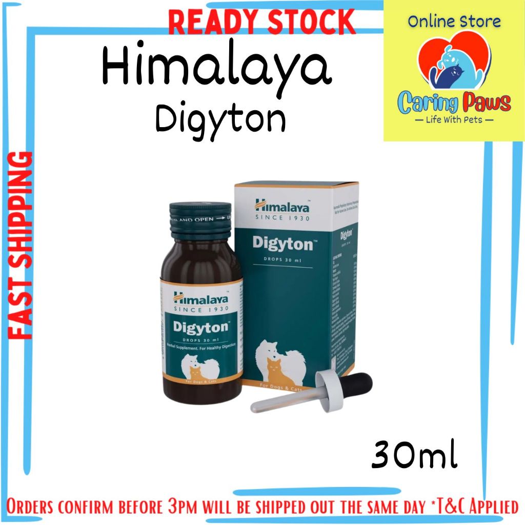 HIMALAYA Digyton 30ml Drops (Cats, Dogs) (Digestive stimulant ...