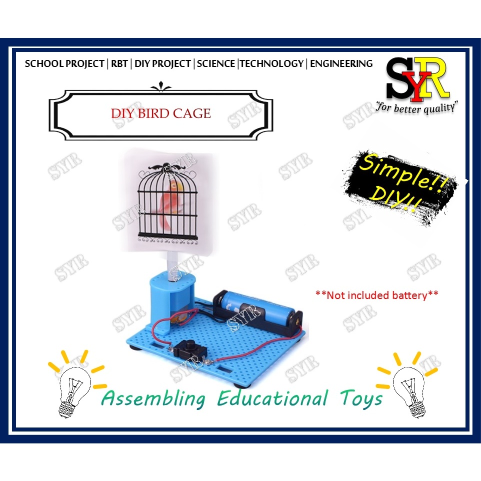 NEW!! DIY Bird Cage STEM Science School Project RBT Primary School DIY ...