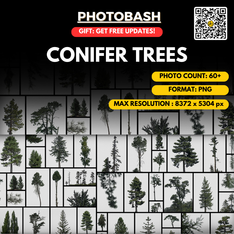 A037- Photobash 【CONIFER TREES】 High quality images for designer photoshop jpg png material ...